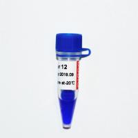 China Marker 12 DNA ladder M1141 (50μg)/M1142 (5×50μg) for sale