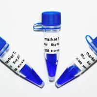 China Marker 12 DNA ladder M1141 (50μg)/M1142 (5×50μg) for sale
