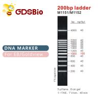 China 200bp Ladder DNA Marker M1151 (50μg)/M1152 (5×50μg) for sale