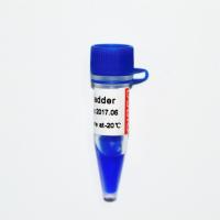 China 200bp Ladder DNA Marker M1151 (50μg)/M1152 (5×50μg) for sale