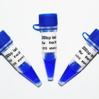 China 200bp Ladder DNA Marker M1151 (50μg)/M1152 (5×50μg) for sale