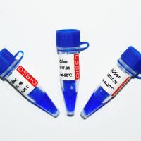 China 200bp Ladder DNA Marker M1151 (50μg)/M1152 (5×50μg) for sale