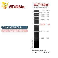 China DS15000 DNA Marker Ladder M1161 (50μg)/M1162 (5×50μg) for sale