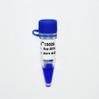 China DS15000 DNA Marker Ladder M1161 (50μg)/M1162 (5×50μg) for sale