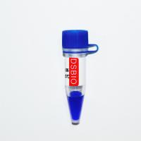 China DS15000 DNA Marker Ladder M1161 (50μg)/M1162 (5×50μg) for sale