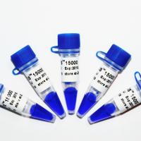 China DS15000 DNA Marker Ladder M1161 (50μg)/M1162 (5×50μg) for sale