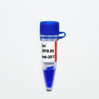 China 1kb Ladder 1000bp DNA Marker Ladder Gel Electrophoresis for sale