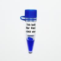 China 1kb Ladder 1000bp DNA Marker Ladder Gel Electrophoresis for sale
