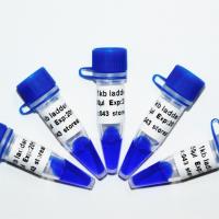 China 1kb Ladder 1000bp DNA Marker Ladder Gel Electrophoresis for sale