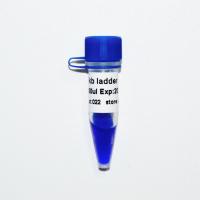 China 1kb Ladder Plus 1000bp DNA Marker M1191 (50μg)/M1192 (5×50μg) for sale