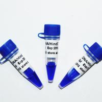China λDNA/Hind Ⅲ DNA Marker ladder M1201 (50μg)/M1202 (5×50μg) for sale