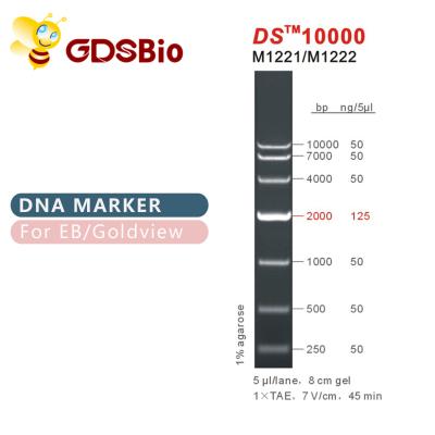 China DS10000 DNA Marker ladder M1221 (50μg)/M1222 (5×50μg) for sale