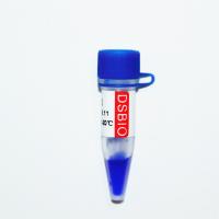 China DS10000 DNA Marker ladder M1221 (50μg)/M1222 (5×50μg) for sale