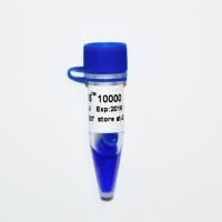 China DS10000 DNA Marker ladder M1221 (50μg)/M1222 (5×50μg) for sale