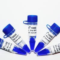 China DS10000 DNA Marker ladder M1221 (50μg)/M1222 (5×50μg) for sale