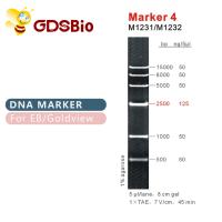 China Marker 4 DNA ladder M1231 (50μg)/M1232 (5×50μg) for sale