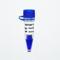 China Marker 4 DNA ladder M1231 (50μg)/M1232 (5×50μg) for sale