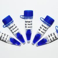 China Marker 4 DNA ladder M1231 (50μg)/M1232 (5×50μg) for sale