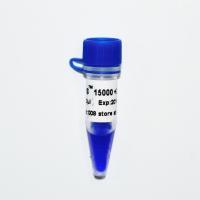 China DS 15000+2000 DNA Marker ladder M1241 (50μg)/M1242 (5×50μg) for sale