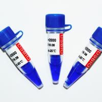China DS 15000+2000 DNA Marker ladder M1241 (50μg)/M1242 (5×50μg) for sale