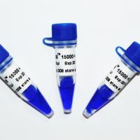 China DS 15000+2000 DNA Marker ladder M1241 (50μg)/M1242 (5×50μg) for sale