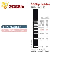China 500bp Ladder DNA Marker M1251 (50μg)/M1252 (5×50μg) for sale