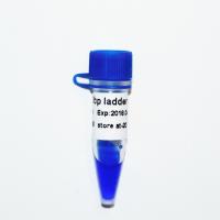 China 500bp Ladder DNA Marker M1251 (50μg)/M1252 (5×50μg) for sale