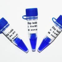 China 500bp Ladder DNA Marker M1251 (50μg)/M1252 (5×50μg) for sale