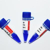 China 500bp Ladder DNA Marker M1251 (50μg)/M1252 (5×50μg) for sale