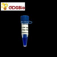 China LD Low Ladder DNA Marker LM1031 (60 preps)/LM1032 (60 preps×3) for sale