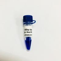China LM1041 GDSBio LD 50bp Gel Electrophoresis Marker Ladder for sale