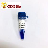 China LM1041 GDSBio LD 50bp Gel Electrophoresis Marker Ladder for sale