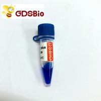 China 50bp Ladder Plus DNA Marker Electrophoresis , DNA Size Markers Gel Electrophoresis for sale