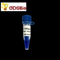 China 100bp Ladder Gel Electrophoresis DNA Marker 60 Preps for sale