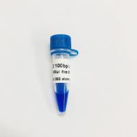 China 100bp Ladder Gel Electrophoresis DNA Marker 60 Preps for sale
