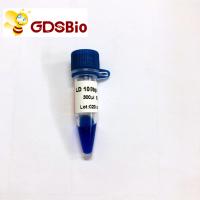 China 60 Preps LD 100bp Ladder Plus DNA Marker Electrophoresis for sale
