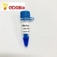 China Blue Appearance LD Marker 1 DNA Marker Electrophoresis for sale