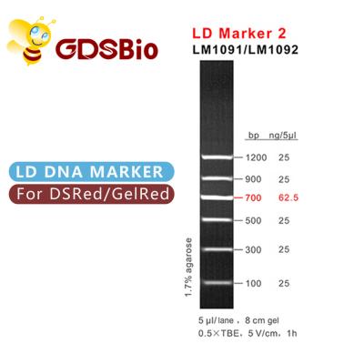 China LD Marker 2 60 Preps DNA Marker Electrophoresis GDSBio for sale