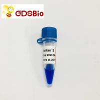 China LD Marker 2 60 Preps DNA Marker Electrophoresis GDSBio for sale