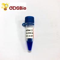 China LD Marker 2 60 Preps DNA Marker Electrophoresis GDSBio for sale