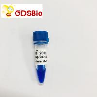 China High Purity Reagents LD DS 2000 DNA Marker Gel Electrophoresis 60 Preps for sale