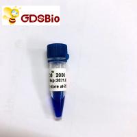 China High Purity Reagents LD DS 2000 DNA Marker Gel Electrophoresis 60 Preps for sale