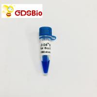 China GDSBio LD DS 5000 DNA Marker Electrophoresis Blue Appearance for sale