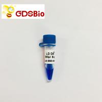 China GDSBio LD DS 5000 DNA Marker Electrophoresis Blue Appearance for sale