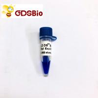 China GDSBio LD DS 5000 DNA Marker Electrophoresis Blue Appearance for sale