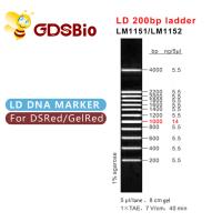 China 200bp Gel Electrophoresis Marker Ladder GDSBio Blue Appearance for sale