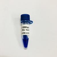 China 200bp Gel Electrophoresis Marker Ladder GDSBio Blue Appearance for sale