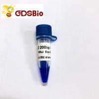 China 200bp Gel Electrophoresis Marker Ladder GDSBio Blue Appearance for sale