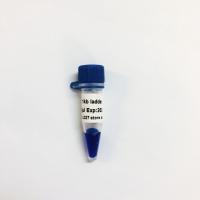 China LD 1kb Ladder 1000bp DNA Marker LM1181 (50 preps)/LM1182 (50 preps×5) for sale