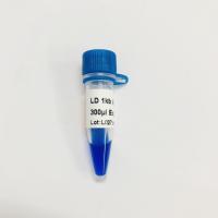 China 1000bp DNA Marker Electrophoresis , Gel Electrophoresis 1 Kb Dna Ladder for sale
